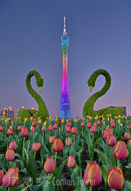 Canton Tower Photo-Canton Tower | Official Website